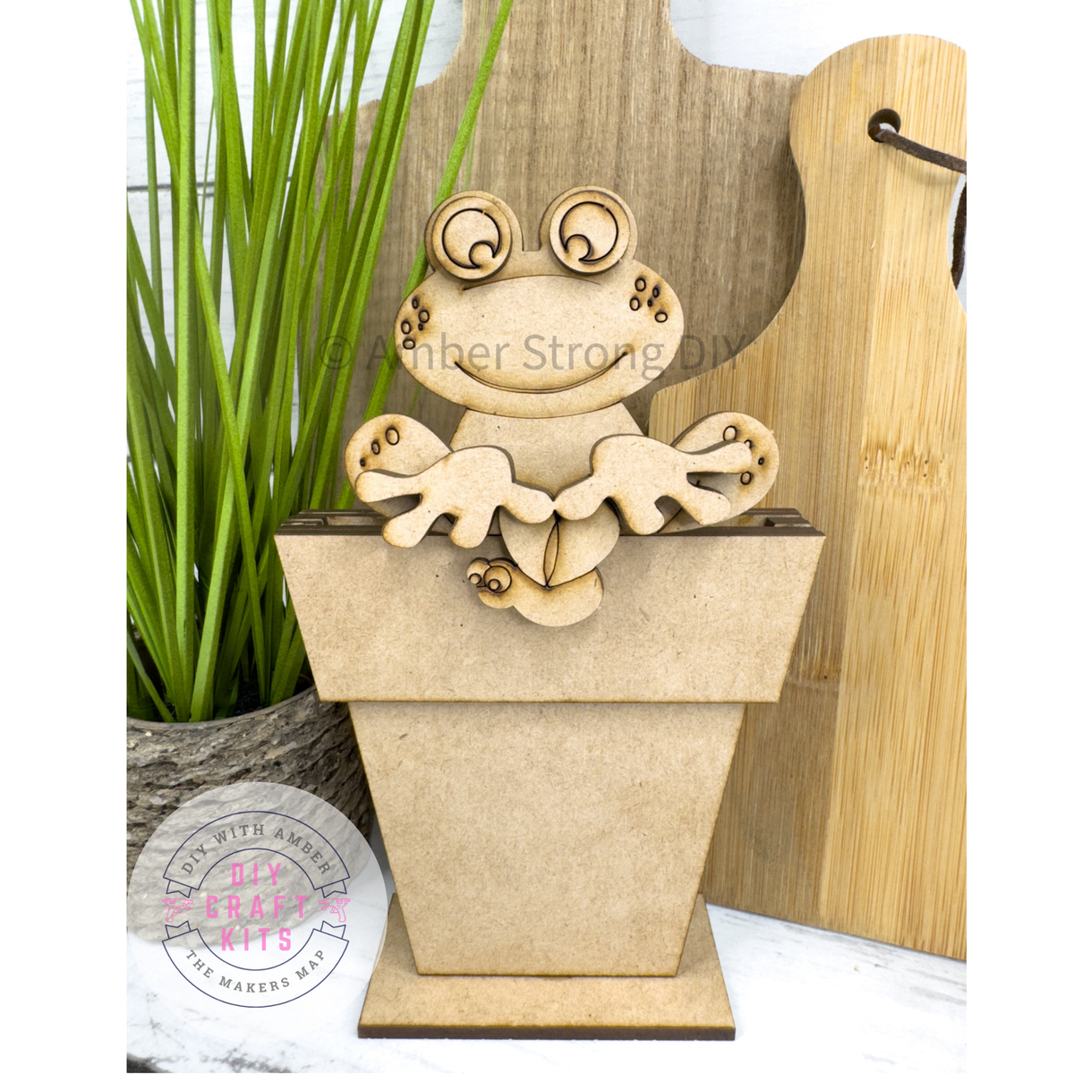 Frog with Fly Hugger Kit – The Makers Map - DIY with Amber