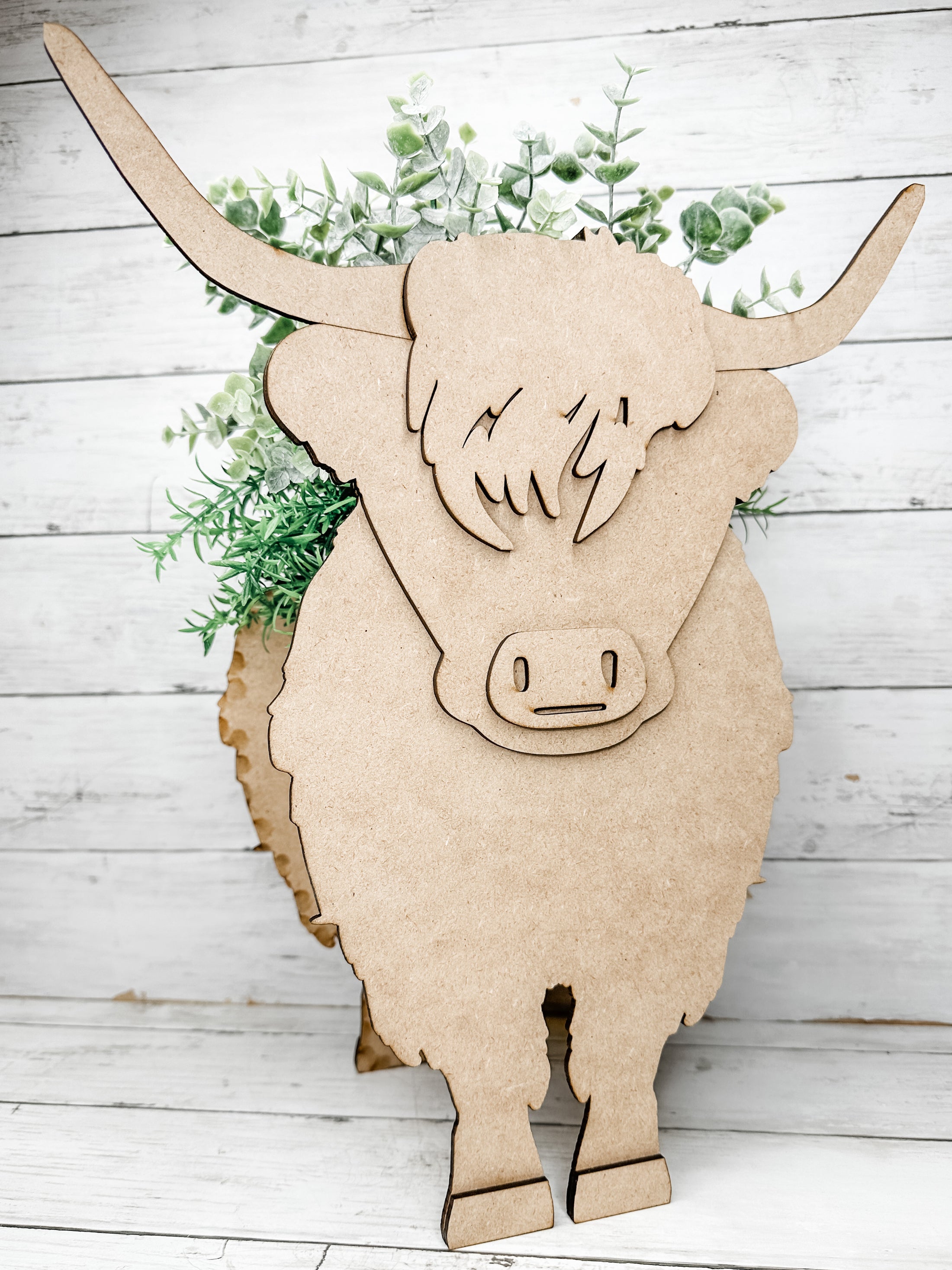 Highland Cow Planter Box DIY Kit – DIY with Amber